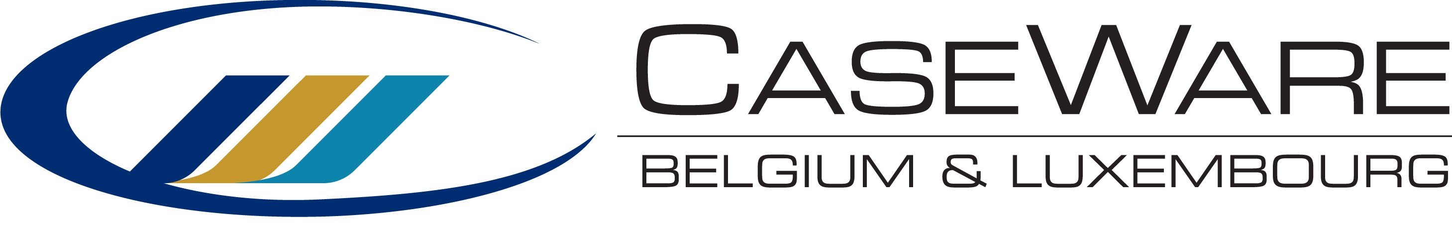 Caseware support overview