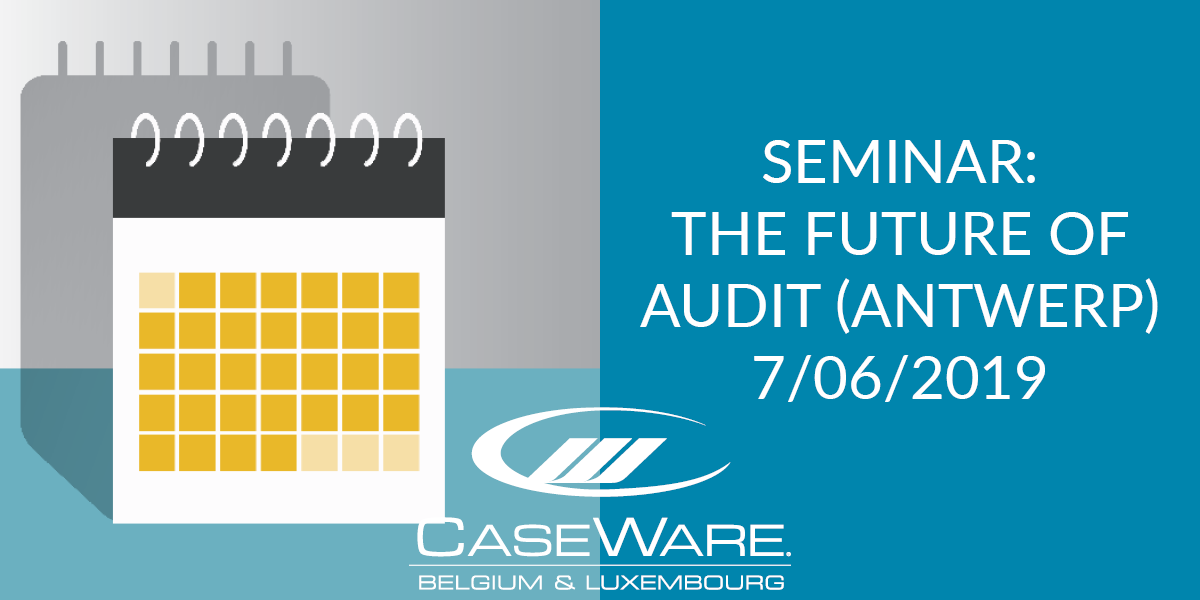 Seminar: The Future of Audit 7/06/2019