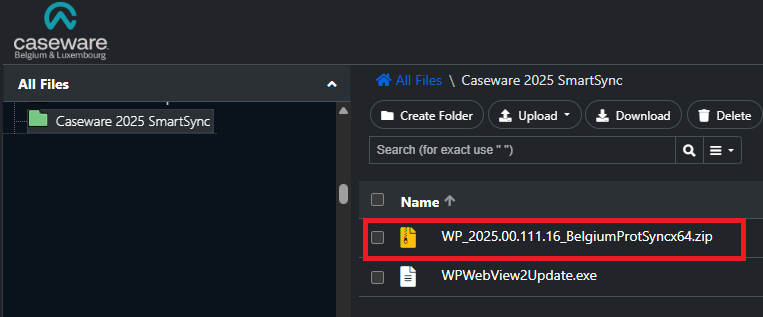 Installation of Caseware Working Papers